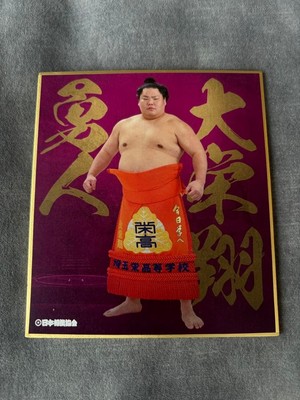 Sumo Wrestling â Daieisho Seki â Power SHIKISHI ART â Rare Item â | eBay