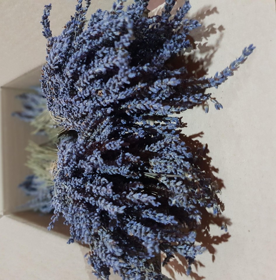 Greek Dried Lavender Bunch 300 stems 1 bunch 30-32 cm Organic Harvest ...