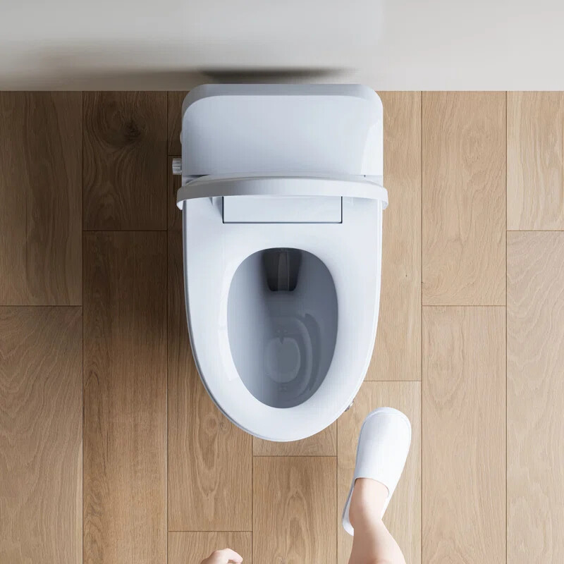 HOROW Smart Bidet toilet with Dual Nozzles Power Flush Map 1000G ADA ...
