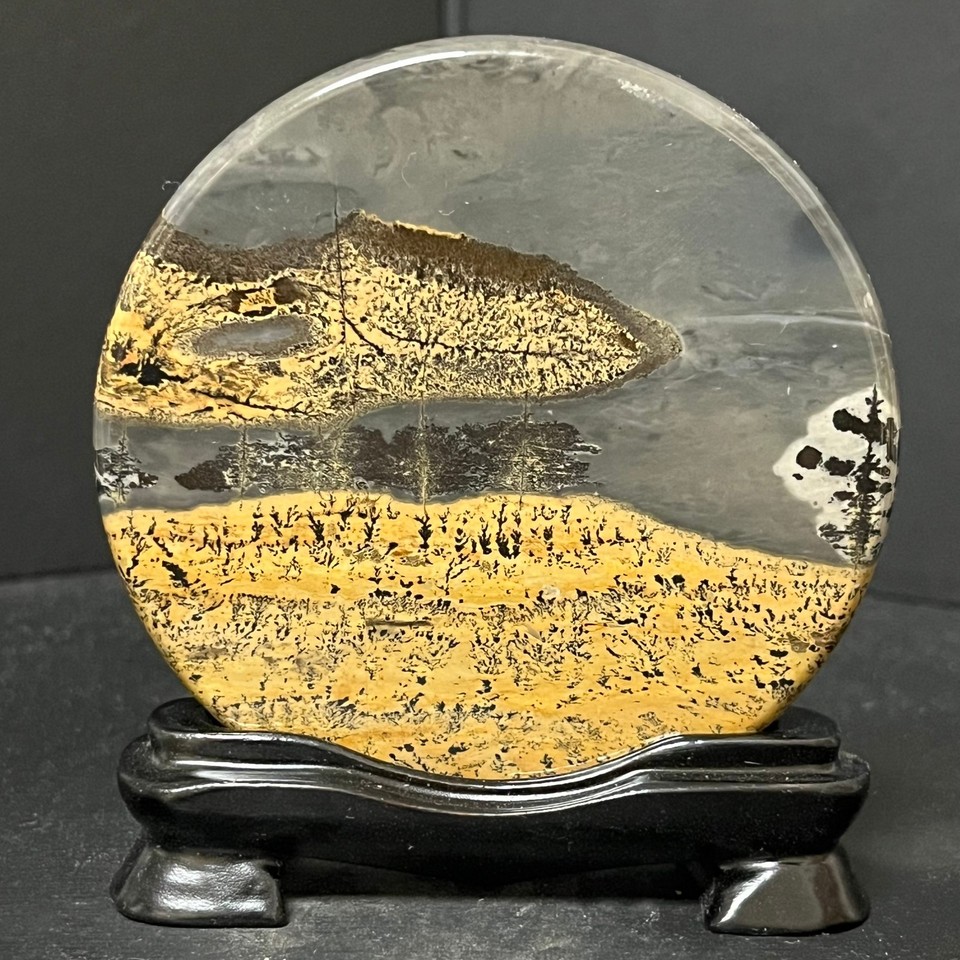 148G Beautiful Chinese Dendritic Limestone Picture Stone Guohua - Rare ...