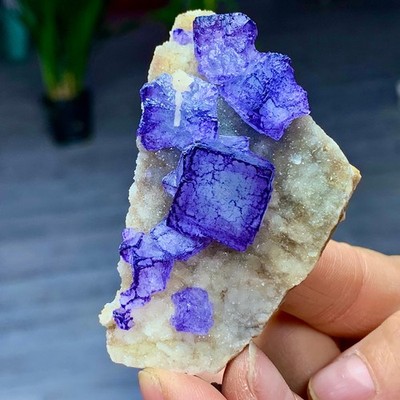 47G Natural purple "QR code" fluorite cluster crystal mineral sample ...