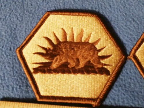LOT OF 2 - DESERT TAN ARMY CALIFORNIA NATIONAL GUARD PATCHES - NEW | eBay