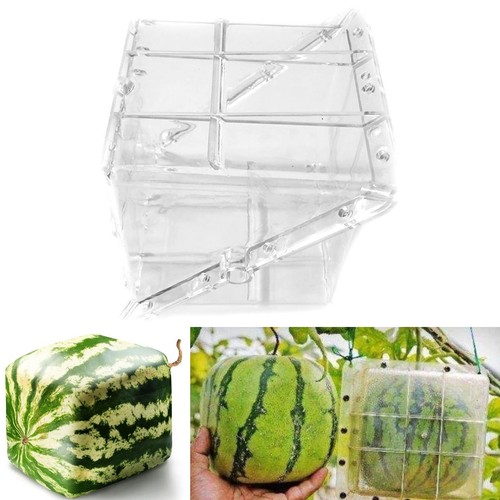 Watermelon Mold - Square/Heart Shaped Fruit Shaping Mould - Transparent ...