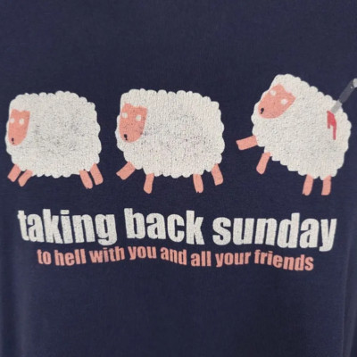 VTG Taking Back Sunday T Shirt Short Sleeve Black All Size Shirt AG2110 ...