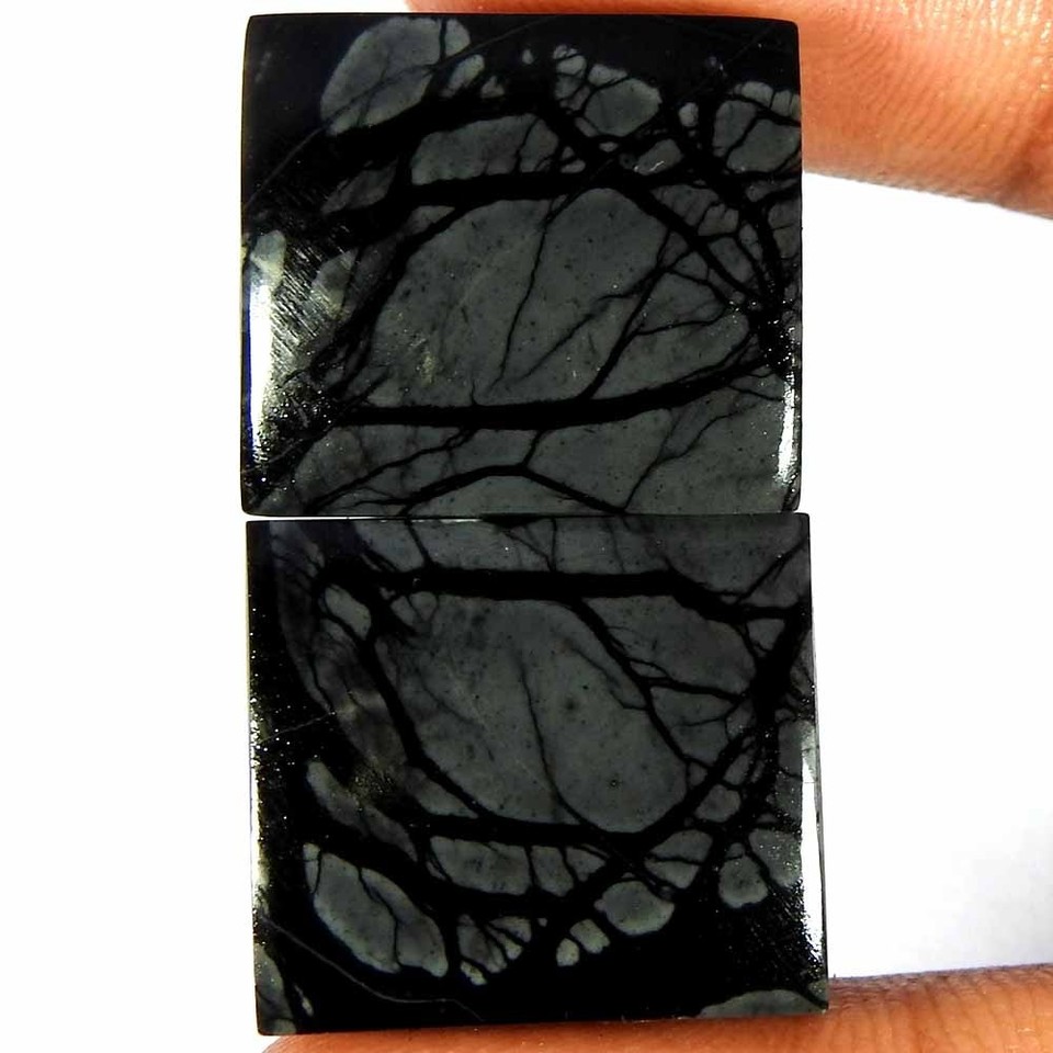 44.55Cts100%Natural Top Picasso Jasper Cushion Pair Cabochon Loose ...