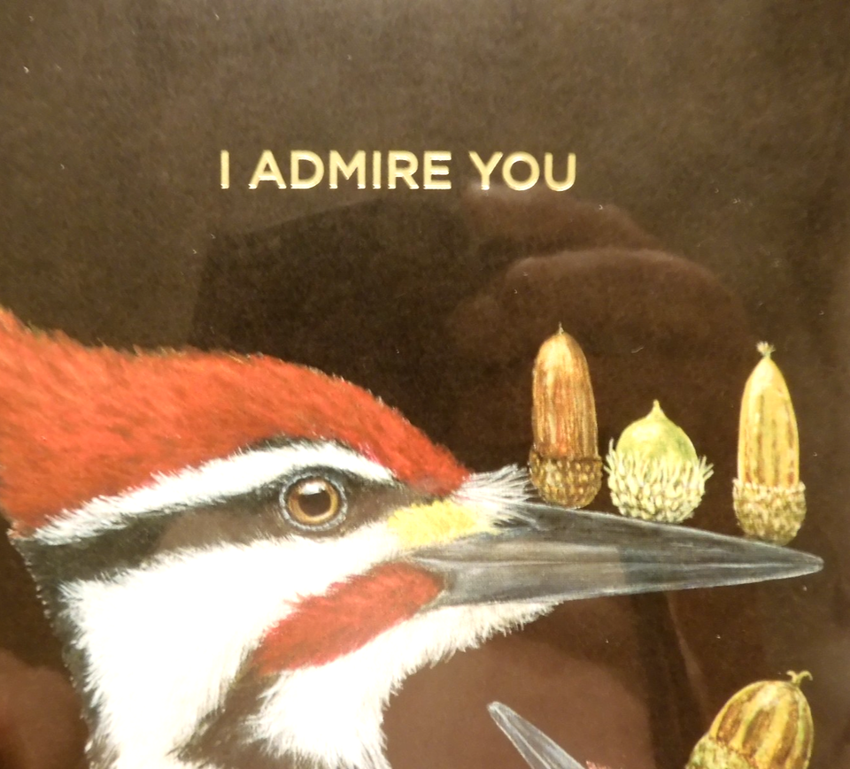2 Hester & Cook Cards I Admire You By Vicki Sawyer Blank Inside Birds ...