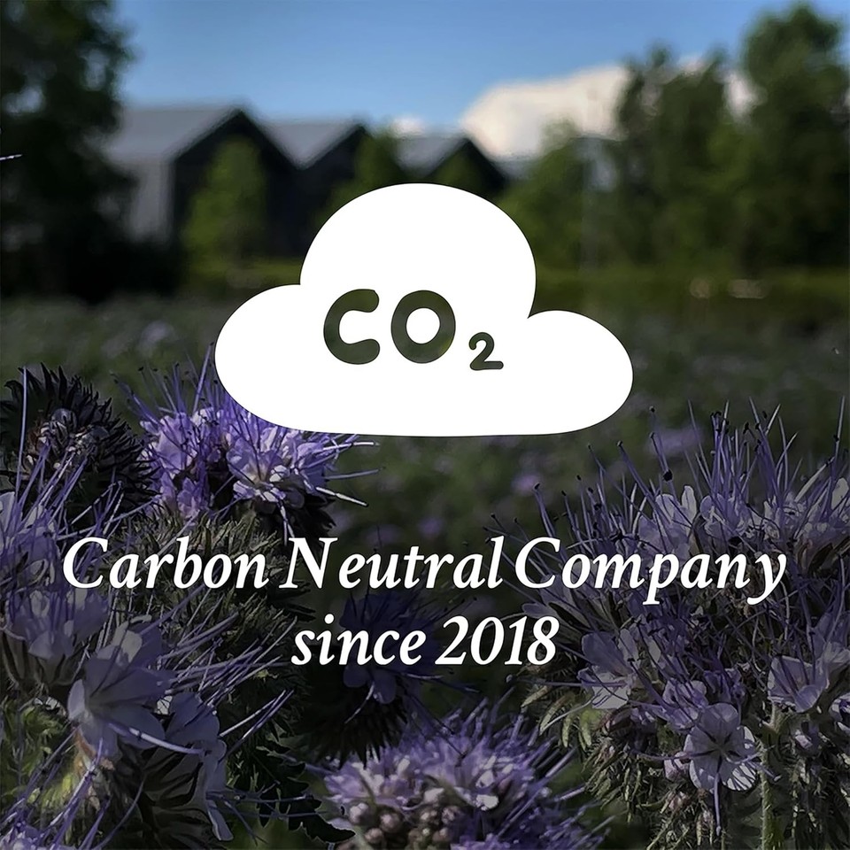 Rebalancing Shampoo by Naturaltech - Refreshing Scalp Cleanse for Oily ...