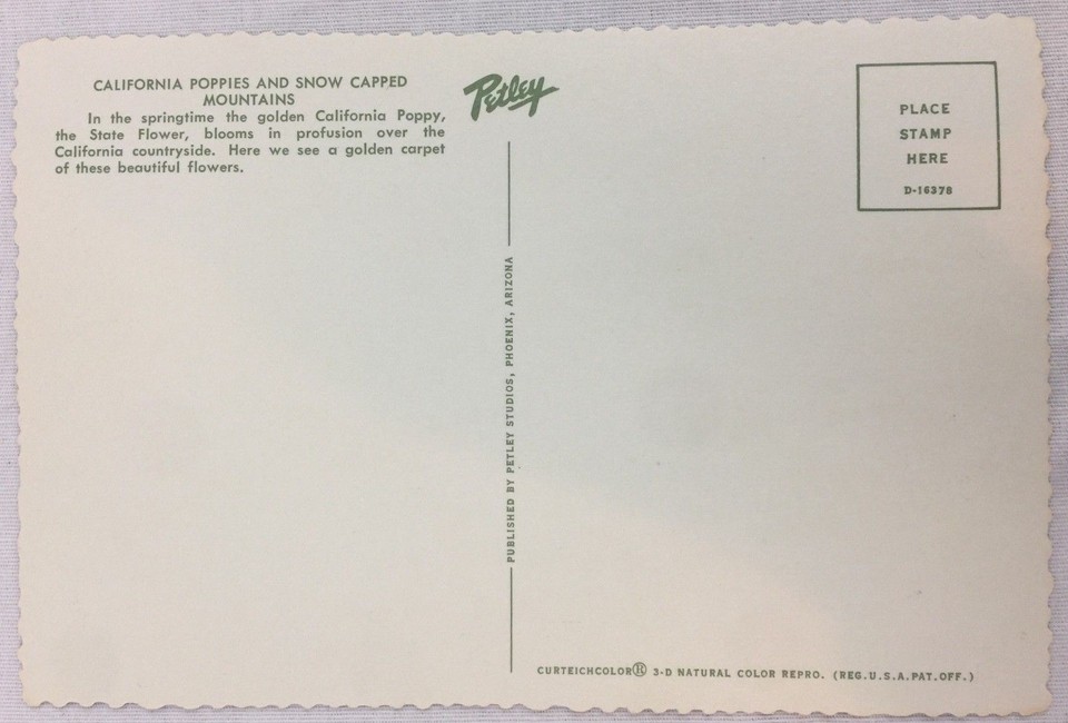 Vintage Postcard California Golden Poppies and Snow Capped Mountains ...