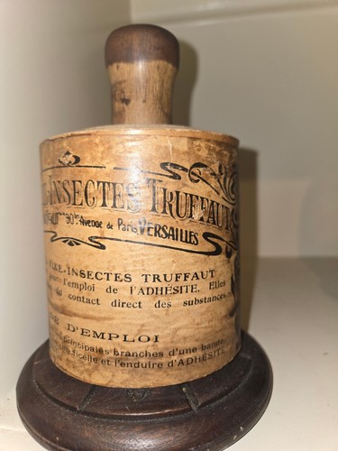 Antique French Insect Paper and Spindle Oddity Weird Decor | eBay