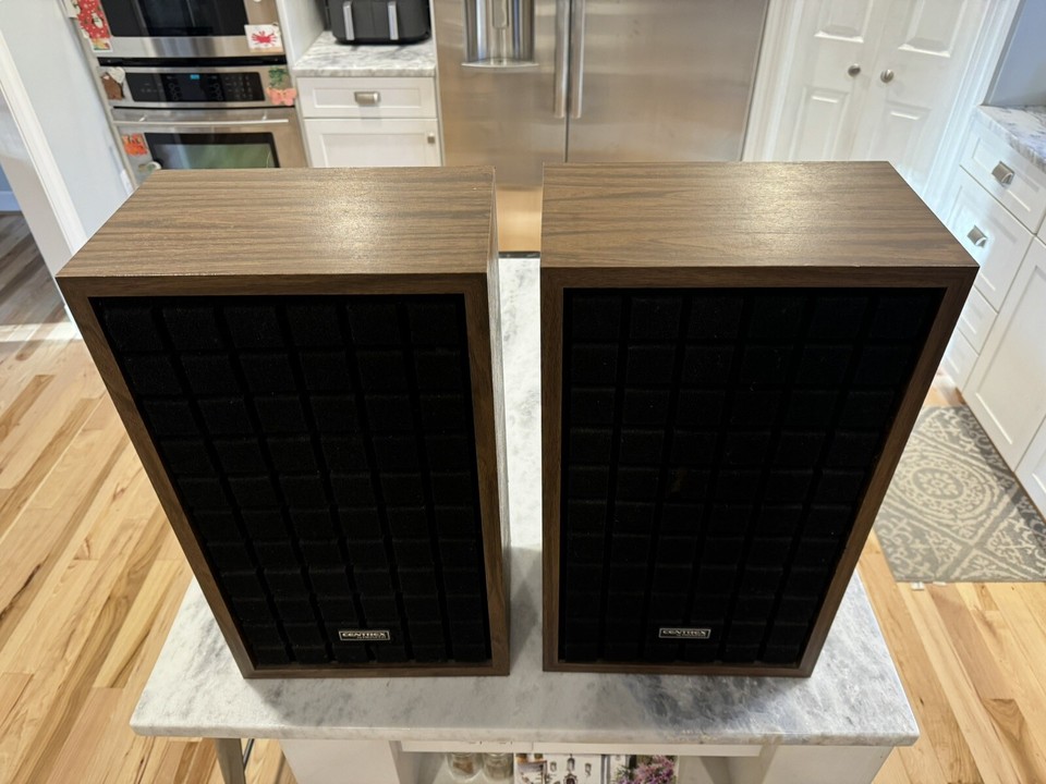 Pioneer Centrex Speakers Pair 22.5 X 13 X 8 Tested Working Foam Grills ...