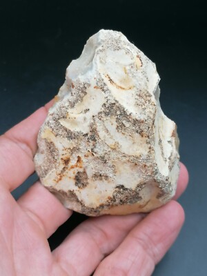 Middle Paleolithic Neanderthal France Very nice Mousterian Point ...