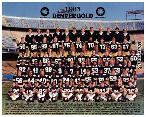 USFL 1983 Denver Gold Color Team Picture 8 X 10 Photo Picture | eBay