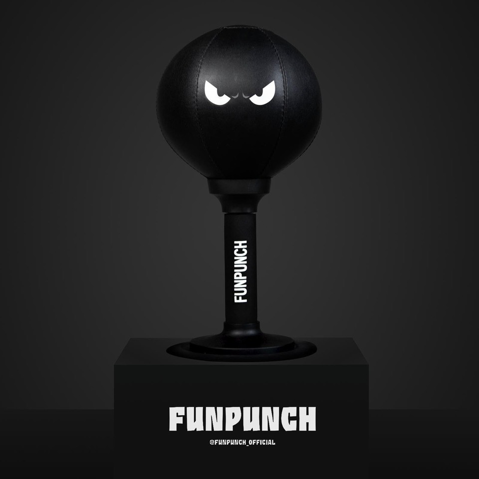 FUNPUNCH Rage Bag - Elite Boxing Training Mini Punching Bag for ...