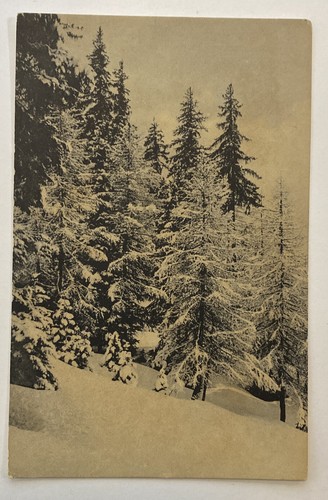 Vintage Postcard, Winter Snow Scene, West Point, NY written on back | eBay
