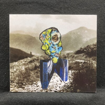 The Glass Trunk by Richard Dawson (CD, 2013) | eBay