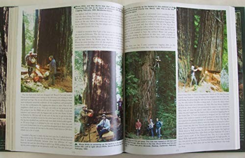 High Climbers and Timber Fallers (From Old Growth Lo... | eBay