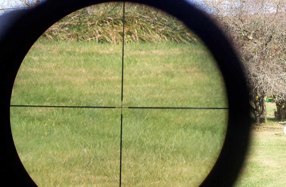 Weaver CKT-15x A.O. Target Varmint Gloss Rifle Scope | eBay