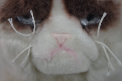 GUND Grumpy Cat Meme Silver Eyes Stuffed Animal Plush Toy 10" | eBay
