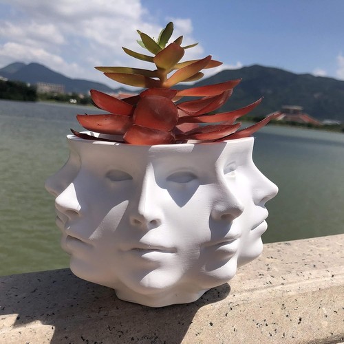 Multi-Face Succulent Planter Vase - Small Face Plant Head Home White ...