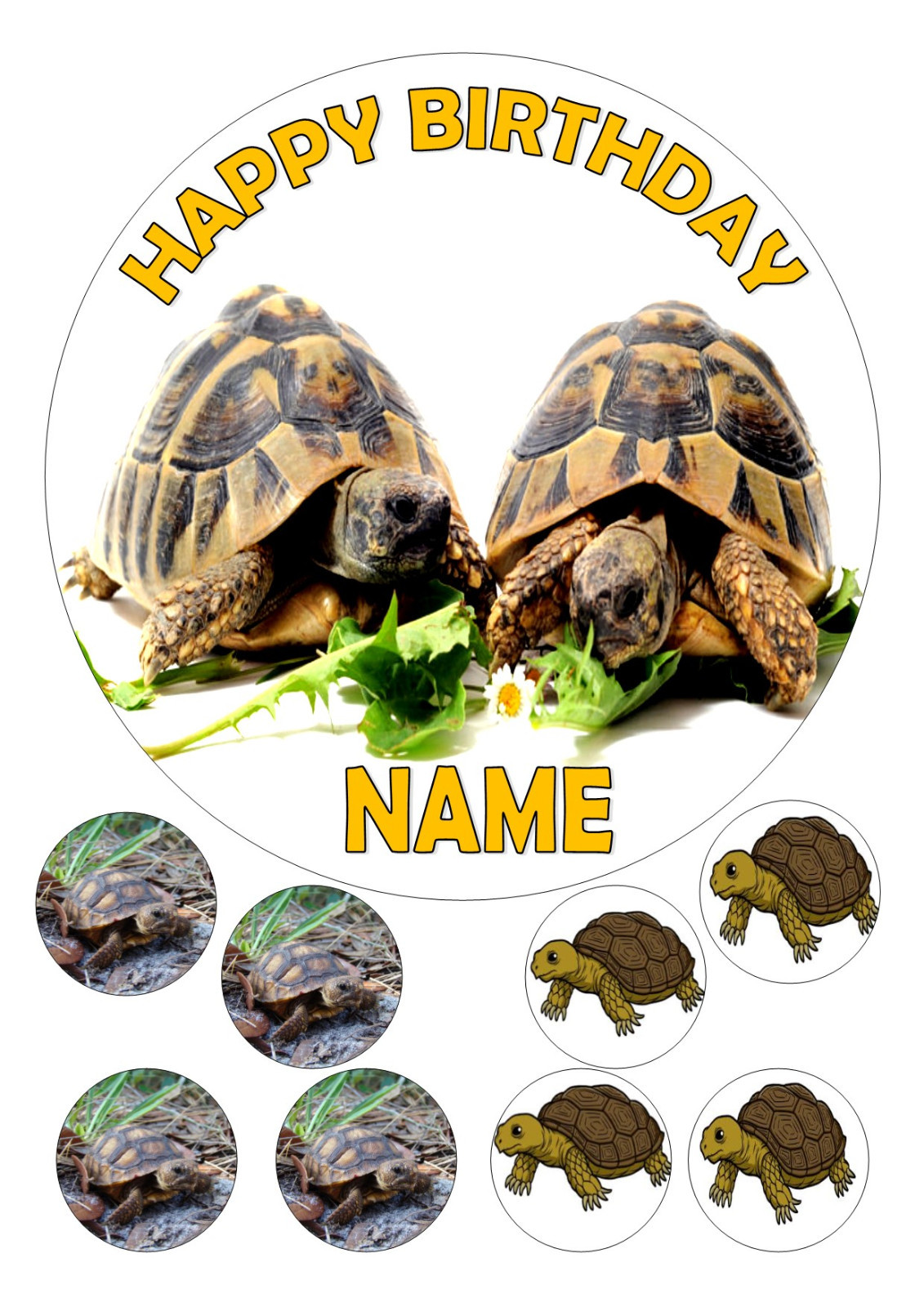 TORTOISE NO 2 ROUND EDIBLE ICING 7.5" + 8 CUPCAKE TOPPERS PERSONALISED ...