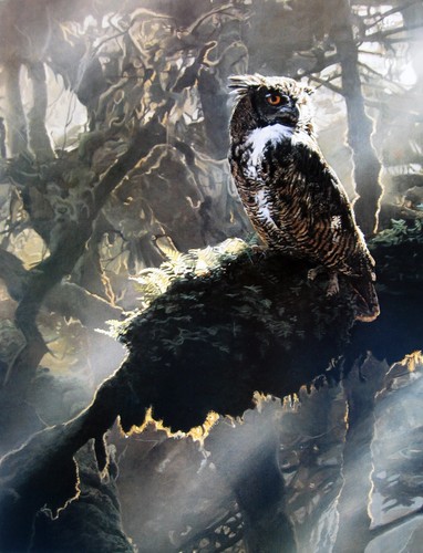 Terry Issac, " Caught by Light", owl) poster, 24"h x 18"w image, 29.5"h ...