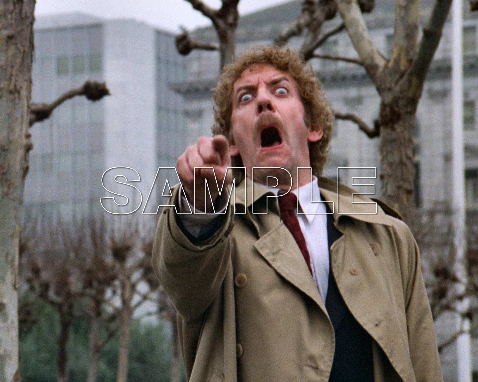INVASION OF THE BODY SNATCHERS 1978 8X10 Photo 01 DONALD SUTHERLAND | eBay