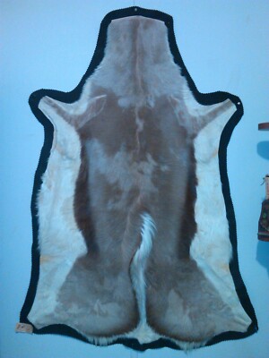 Impala Skin from Botswana 46 x 27 inches | eBay