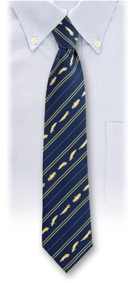COLORATA / Necktie Fossil Fish Stripe Navy / From Japan | eBay