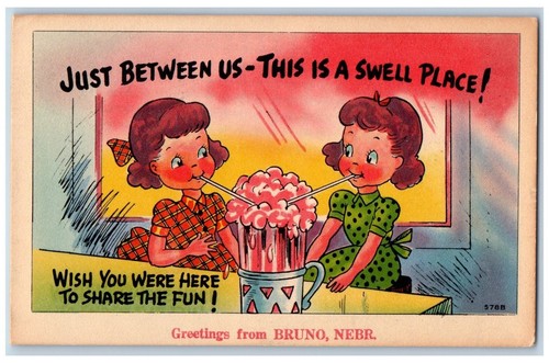 Bruno Nebraska NE Postcard Greetings Little Girls Sharing Just Between ...