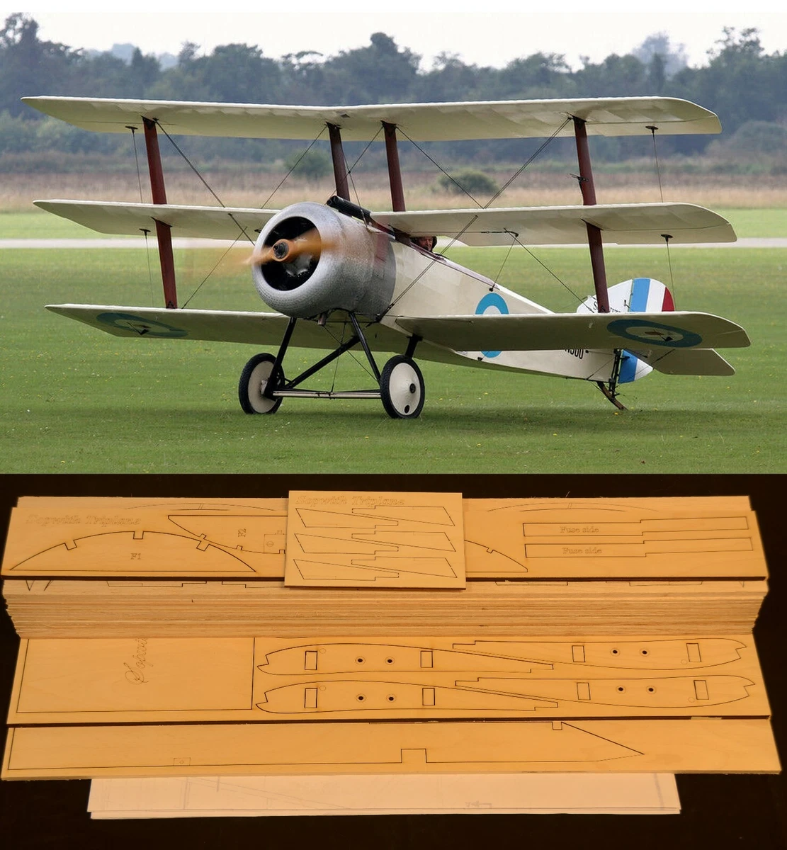 Sopwith Triplane Plans