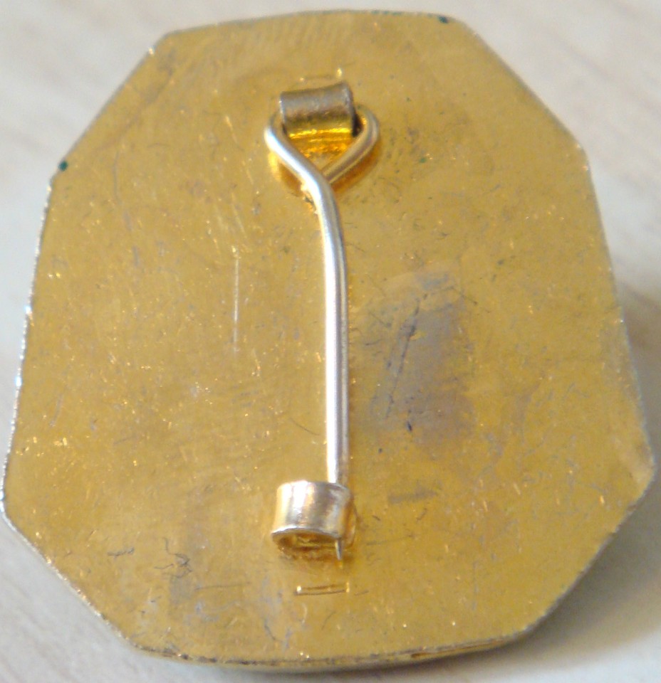 NORWICH CITY FC Vintage 1970s 80s insert badge Brooch pin In gilt 30mm ...