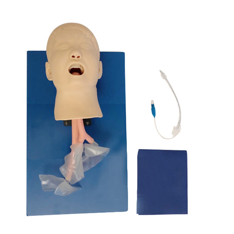 Airway Management Trainer ET/J16 Intubation Head Manikin Lab Training ...