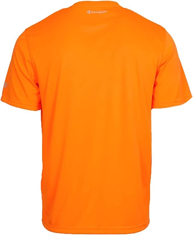 Hanes Champion Men's Short-Sleeve Double-Dry T-Shirt CW22 small | eBay