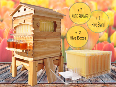 Auto Bee Hives Beekeeping Boxes Honey House + 7 x Beekeep Frames + HAVE ...