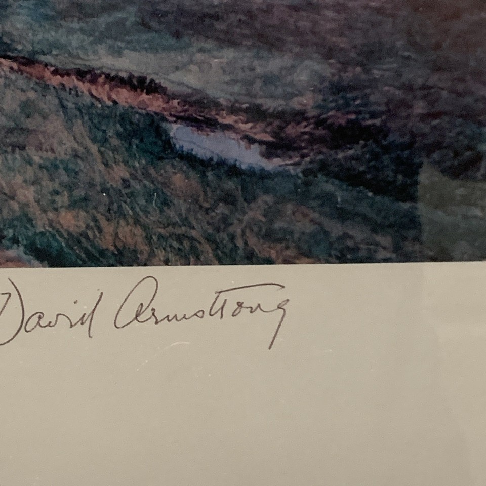 SIGNED JOHN DENVER-DAVID ARMSTRONG GALLERY POSTER 28x49 | eBay