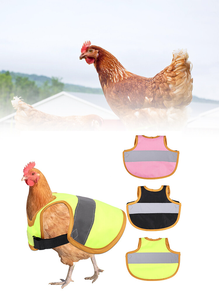 3Pcs Hen Reflective Vest Lightweight Chicken Protection Waterproof Hen ...