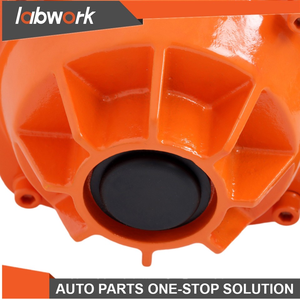 Labwork Electric Chain Hoist 1T/2200lbs 1.5m/5ft Wired Remote Control ...