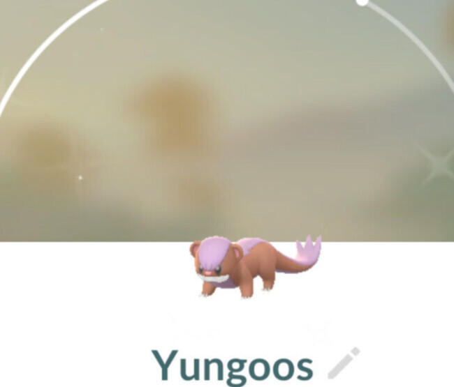 Pokémon Go Shiny Yungoos Registered | eBay
