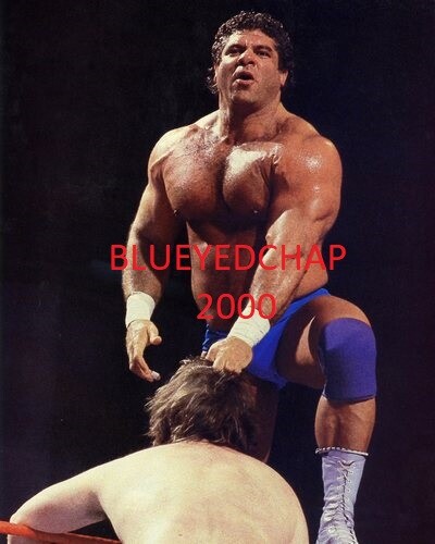 DON MURACO WRESTLER 8 X 10 WRESTLING PHOTO WWF NWA | eBay