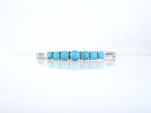 Chuck Clemency NYCII Sleeping Beauty Turquoise Sterling Silver Tube ...