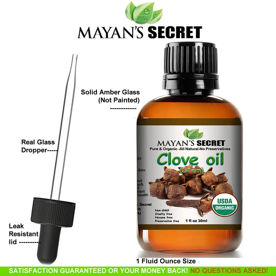 Bulk Organic Clove Stem l Oil Wholesale Mayan's Secret | eBay