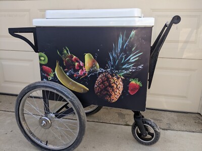 STREET VENDOR PUSH CART COOLER FRUIT BOWLS CART BEER CART MOBILE VENDOR ...
