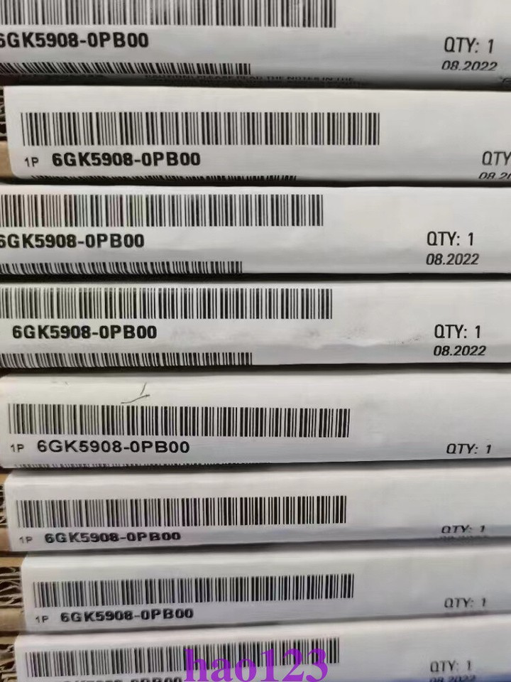 6GK5908-0PB00 SIEMENS KEY-PLUG SINEMA New in box By DHL or FedEx | eBay