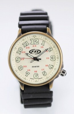 Fossil FSL Watch Men Stainless Steel 100m Black Rubber Battery Beige ...