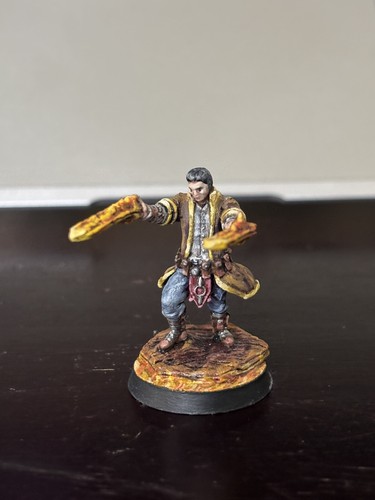 Epic Human Pyromancer/Wizard, High Quality Hand Painted DnD Miniature ...