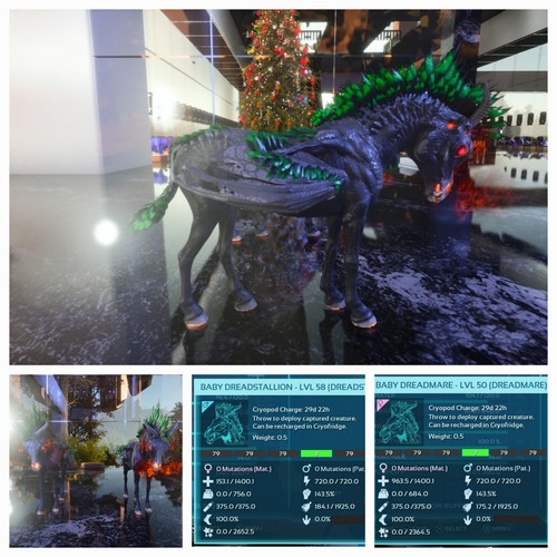 ARK ASCENDED PVE OFFICIAL PAIR BABY DREADMARE/D.STALLION MONSTER PC ...