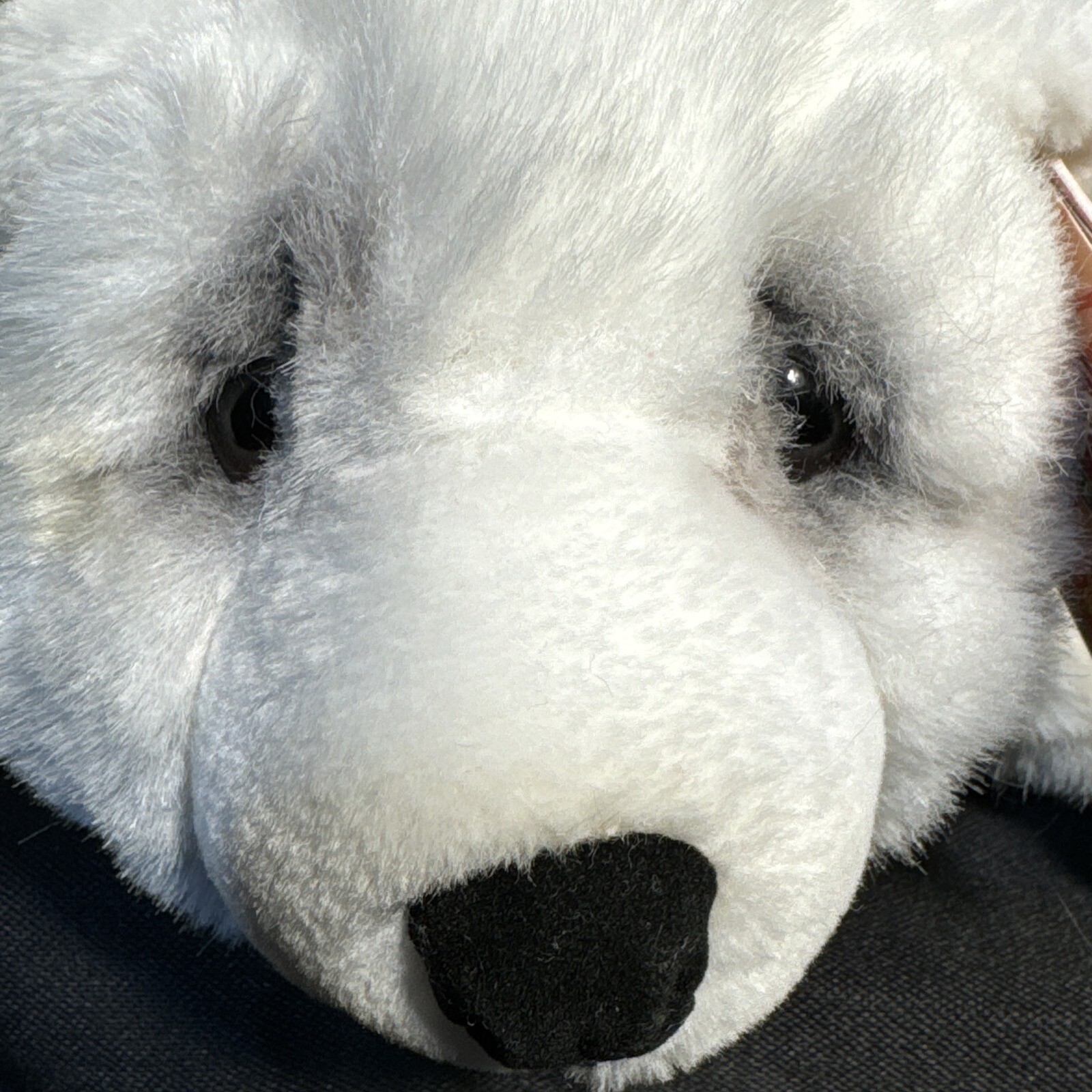 Lou Rankin Friends Dakin Plush Small White Fairbanks Jr Polar Bear ...