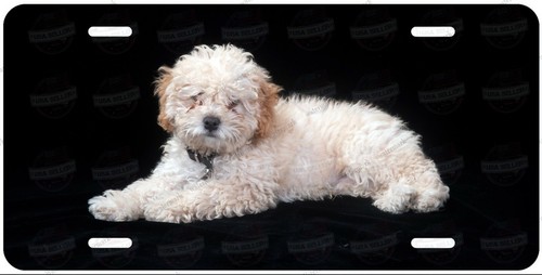 Poodle Dog Animal Artwork Personalized License Plate Tag For Car ATV ...