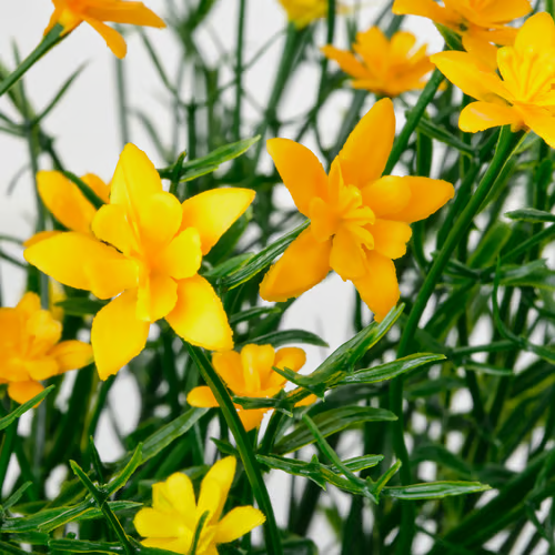 IKEA FEJKA Artificial Potted Plants Realistic Greenery Decor Various ...