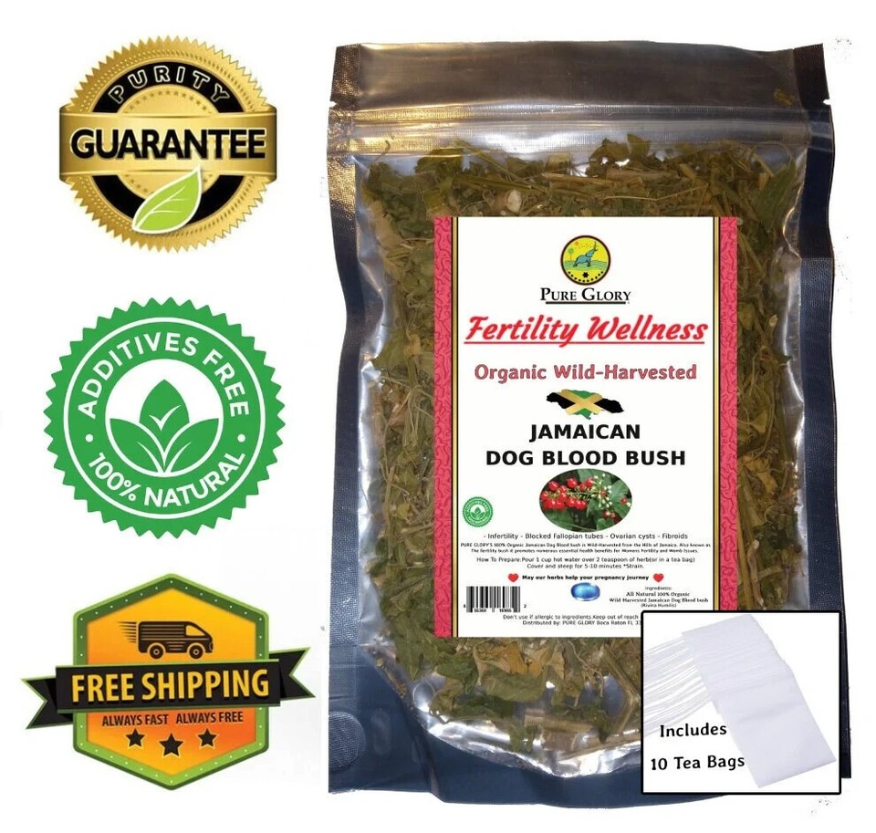 Organic Jamaican Dog Blood bush(w/ tea bags)Fertility bush | Pregnancy ...
